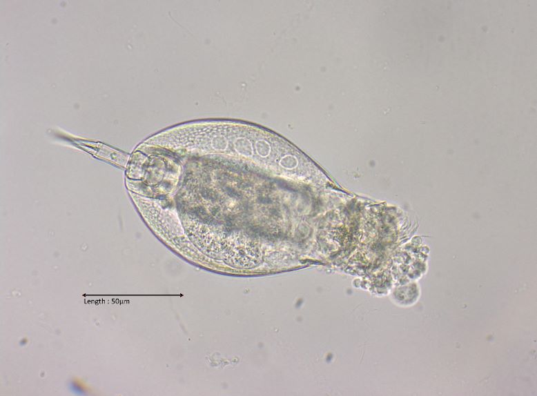 New added – A Planktonista's world