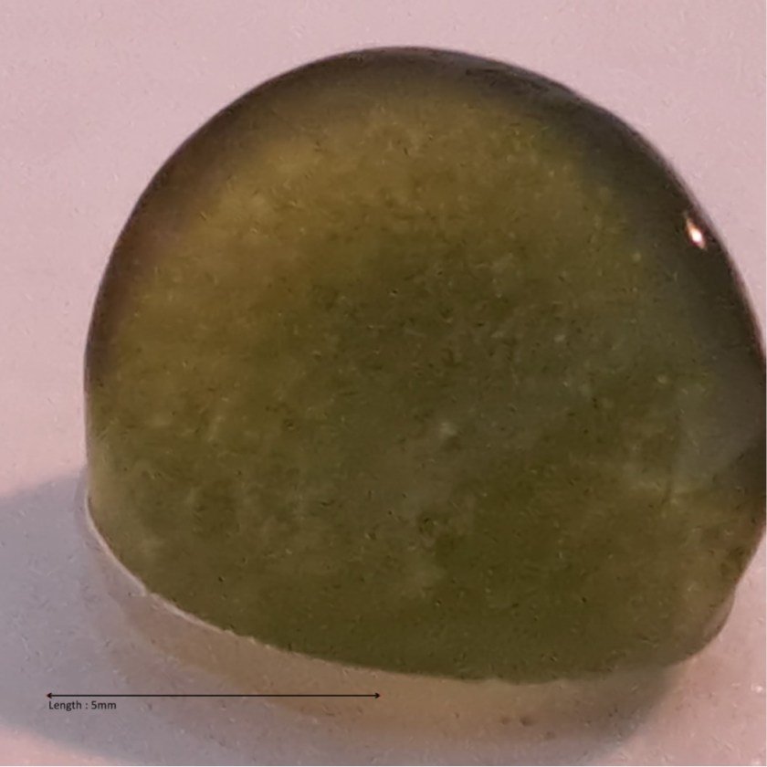 Cyanobacteria and bacteria – A Planktonista's world